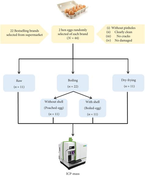 Flow Chart Of The Experimental Design Download Scientific Diagram