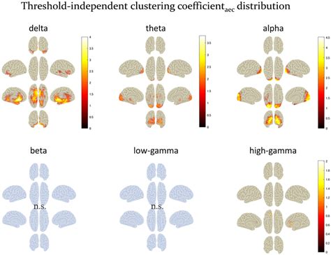 Colored Brain Maps Of Thresholdindependent Amplitudebased Clustering