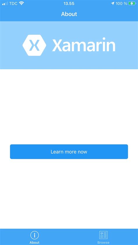 [bug] vs 2019 default mobile app not rendering correct · issue 12865 · xamarin xamarin forms