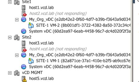 VirtualiZe VCloud Director Moving VApps Between Clusters In The Same PvDC