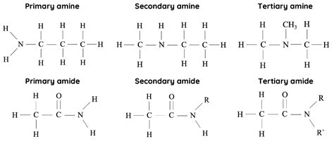 Amine Vs Amide Structure