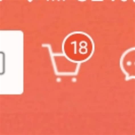 Mini Shopee Haul Rasianbeauty