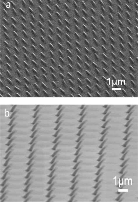 SEM Images Of 45 Tilted Pillar Array In 500 Nm Thick SU 8 Resist And Download Scientific