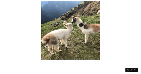 Awesome Magnifier Codesandbox