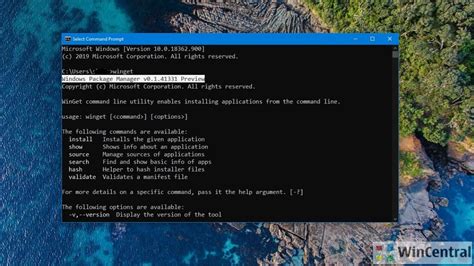 How To Download And Install Windows Package Manager Winget On Windows 10 Wincentral