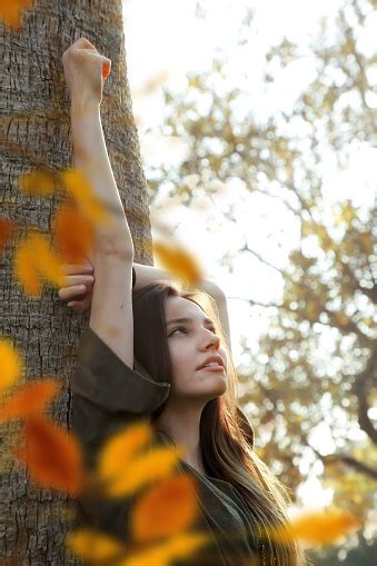 가을 색의 나뭇잎이있는 햇볕이 잘 드는 정원에서 아름다운 행복한 젊은 갈색 머리 여자의 야외 초상화 가을에 대한 스톡 사진 및