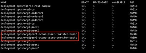 K8s部署fabric 24fabric24多机部署 Csdn博客