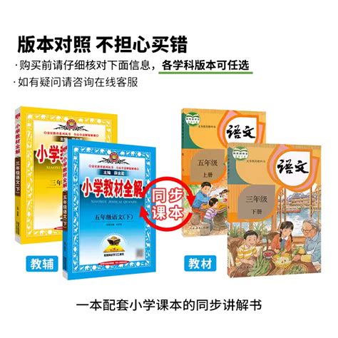2024春版小学教材全解六年级下册英语rjpep人教版薛金星教材同步讲解6年级下课本完全解读辅导工具书六下基础知识课时划重点资料虎窝淘