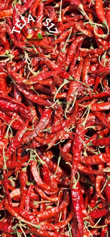 Teja Chilli Supplierwholesale Teja Chilli Supplier From Haveri India