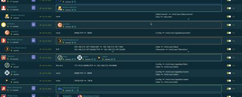 docker containers on custom network don t have an ip address general