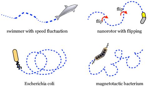 The Coupling Of Deterministic And Stochastic Elements Can Give Rise To Download Scientific