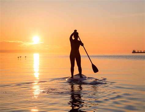 The Ultimate Guide To Paddleboarding In Los Angeles Geergarage