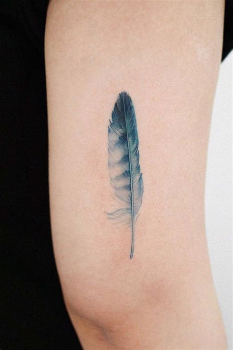 Blue Jay Feather Tattoo