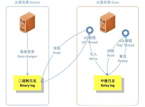 Mysql主从复制实现mysql主从数据库实现 Csdn博客