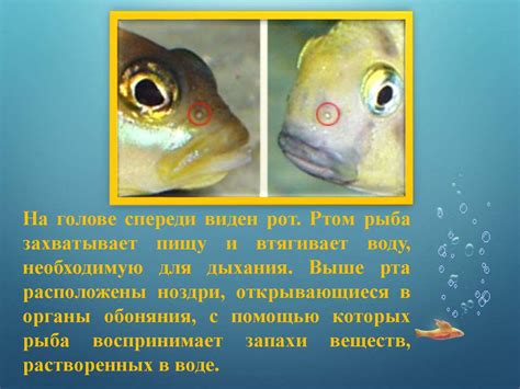 Ejattachmentsfiles054915387original2