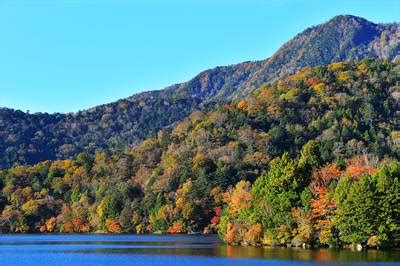 湯の湖の紅葉見頃に入る① 日光奥日光那須 栃木の四季 紅葉情報