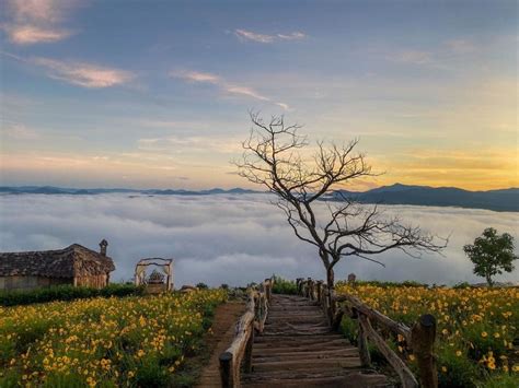 Da Lat A City Of Thousands Of Flowers Vietnam Travel Online