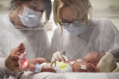 Neonatology Stock Image C0170295 Science Photo Library
