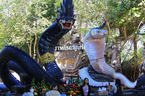 พญานาคและการเชื่อมโยง