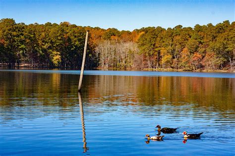 『day 20』理解 React State 的保存與重置機制 前言 By Wang Jeff Jan 2025 Medium