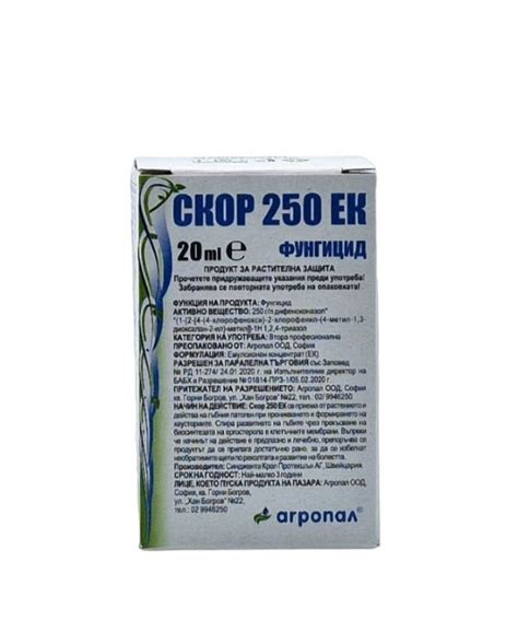 Скор 250 ЕК Дворът БГ