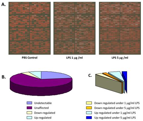Illustration Of Microarray Results In Each Array All The 1135 Download Scientific Diagram