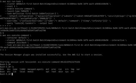 Aws Batch How To Enable Ecs Exec Aws Repost