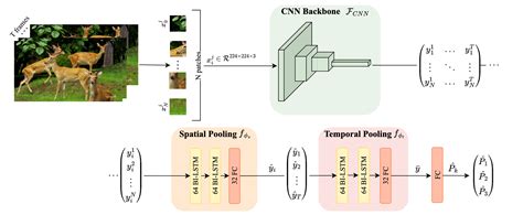 journal paper accepted acm tomm convex hull prediction methods for