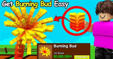 Cách Lấy Burning Bud Trong Grow A Garden Vn