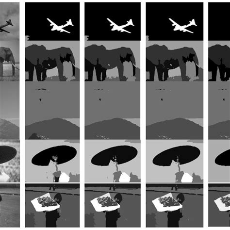 Segmenting The Left Ventricle Cardiac On Some Scans From The Dataset In Download Scientific