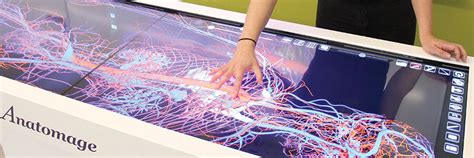 Nursing Adn Program Berkshire Community College