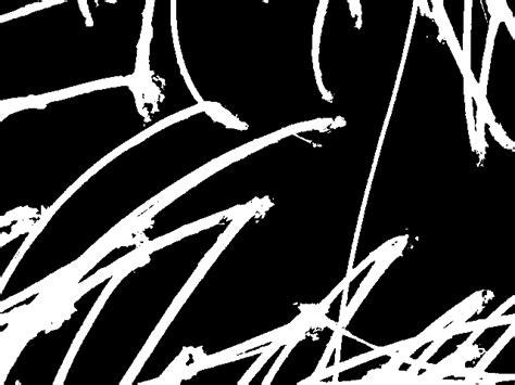 Opencv Hair Counting Algorithm Stack Overflow
