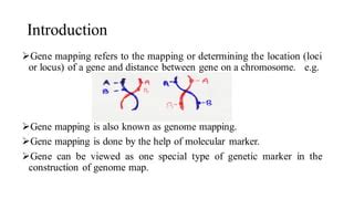 Gene Mapping Pdf