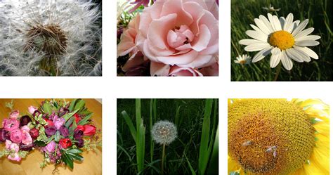 Creating Image Classification Model With Bayesian Perspective Towards Data Science