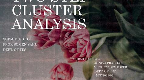 Two Step Cluster Analysispptx