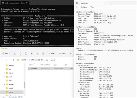 FS Sys Sysinfo Ufrisk MemProcFS Wiki GitHub