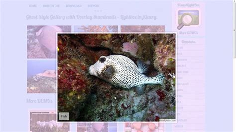 Lightbox With JQuery Optimized For Android And IOS Devices YouTube