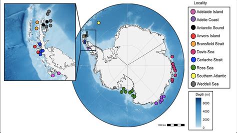 Single Nucleotide Polymorphism Data Reveals Distinct Geographic