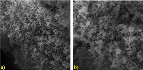 Scanning Electron Micrographs Of Tio 2 A Increase 10000Â B Download Scientific Diagram