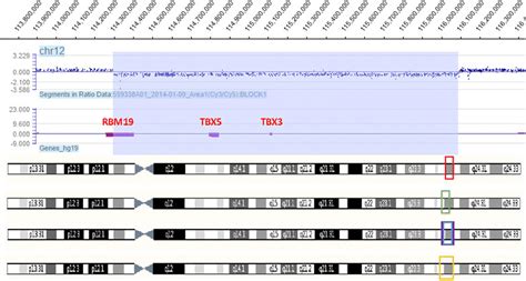 Array Cgh Profile Of Chromosome 12 Red Frame At The Chromosome 12 At
