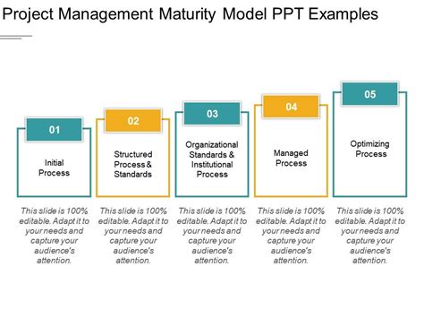 Project Management Maturity Model Ppt Examples Powerpoint Presentation Slides Ppt Slides