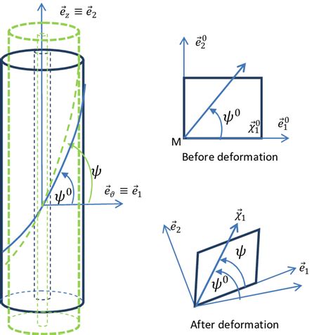 Theoretical Evolution Of The Cellulose Microfibrils Before And After Download Scientific