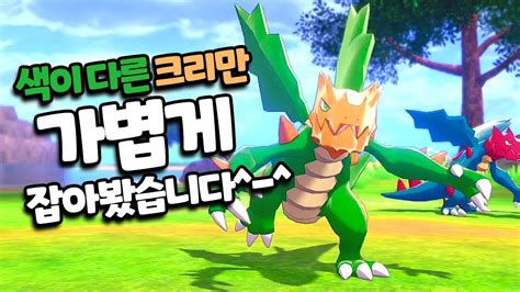 이친구 멋있는데 실전에서 잘 안써여 포켓몬 소드 실드 색이다른 크리만 이로치 헌팅 Youtube