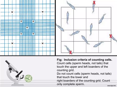 Body Fluid Analysis PPT