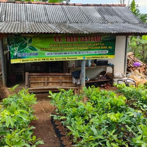 Cv Tata Lestari Youtube