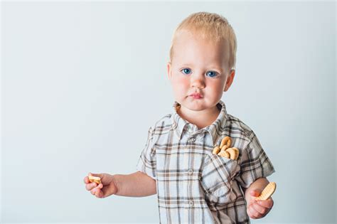 파란색 반바지와 셔츠를 입은 유아 소년은 쿠키를 클로즈업하고 공간을 복사합니다 12 17 개월에 대한 스톡 사진 및 기타 이미지 12 17 개월 건강관리와 의술