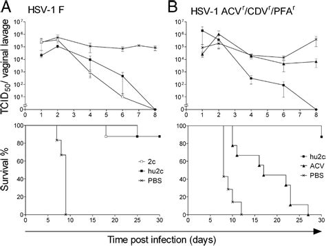 Overcoming Drug Resistant Herpes Simplex Virus Hsv Infection By A