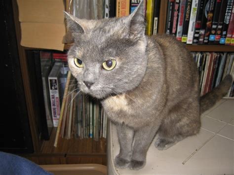 Marksa Triple J Unearthed