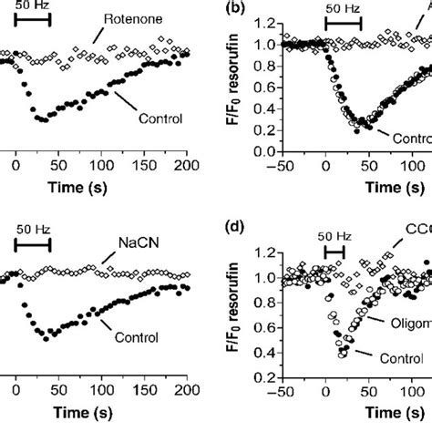 Stimulation Induced Decrease In C 12 Resorufin Fluorescence Persists