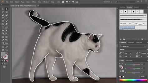 Adobe Illustrator Là Gì Phần Mềm đồ Họa Hàng đầu Hiện Nay